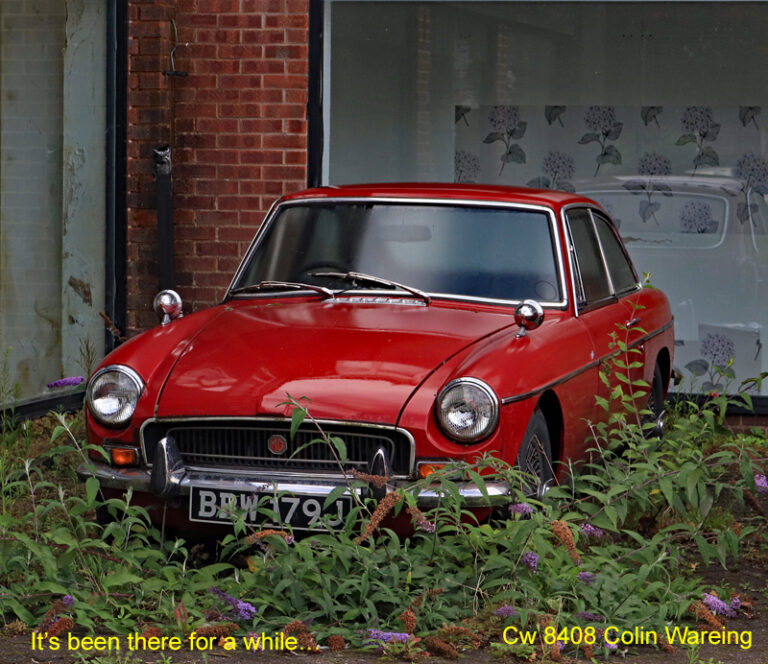 It’s been there for a while….. – Colin and Carole’s Creations.